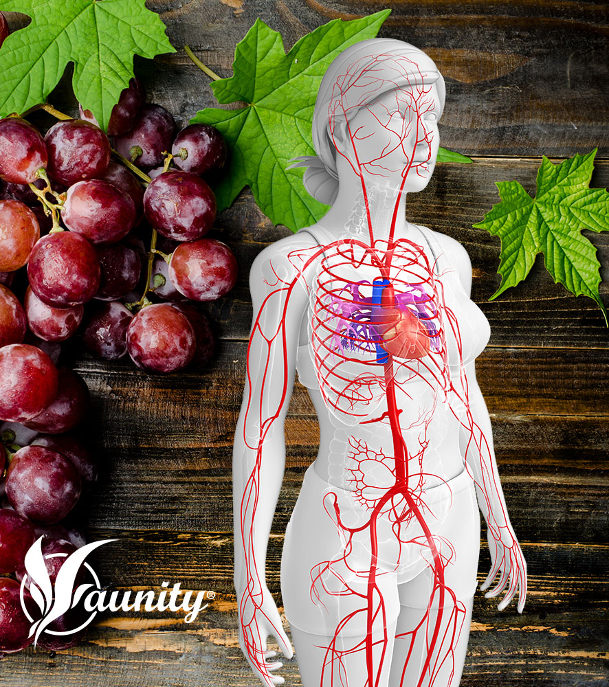 OPC+ PREMIUM COMPLEX – Winalite